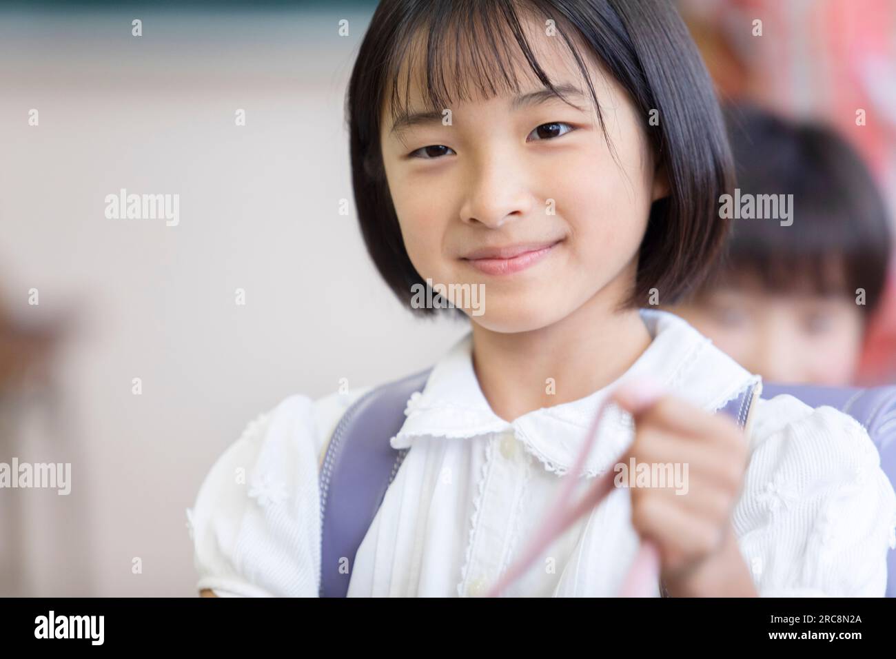 Elementary school students studying during class Stock Photo - Alamy Elementary school students studying during class Stock Photo - Alamy