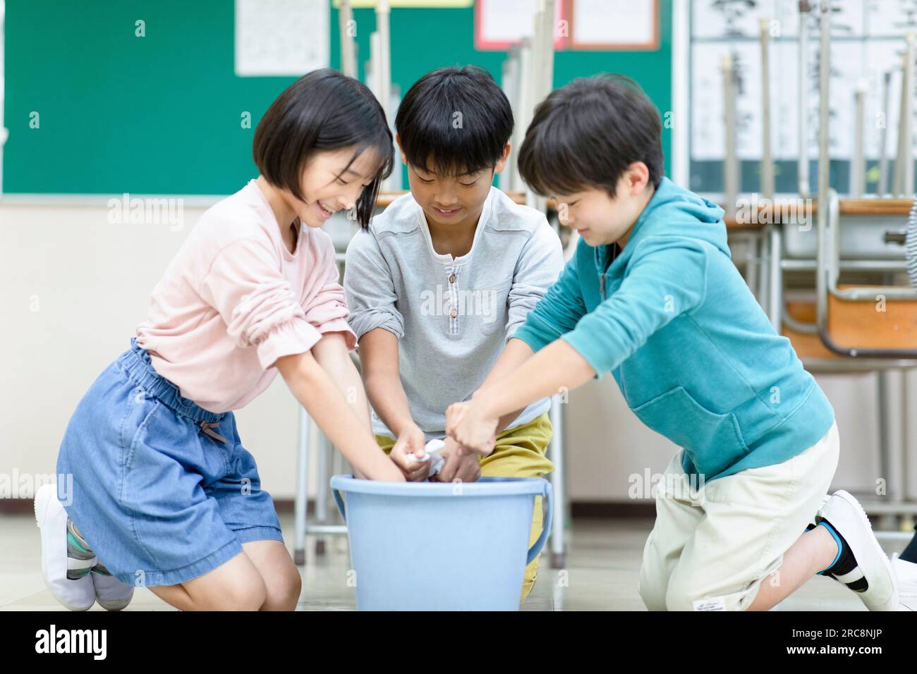 Elementary school students wringing out a rag in the classroom Stock ...