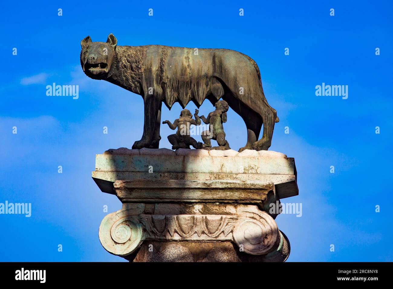 She wolf capitoline hi-res stock photography and images - Alamy