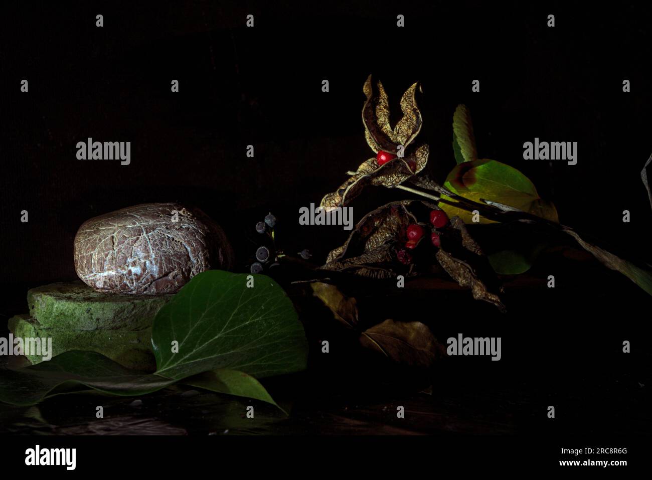 Vintage italian horror hi-res stock photography and images - Alamy