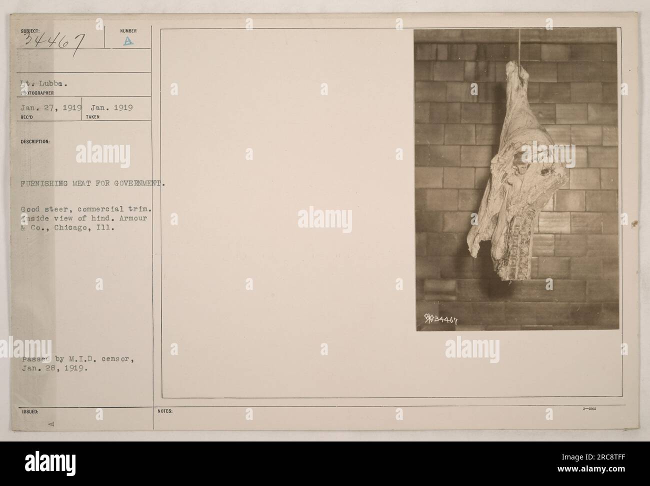 Soldier performs meat inspection during World War I. Lt. Lubba inspects ...