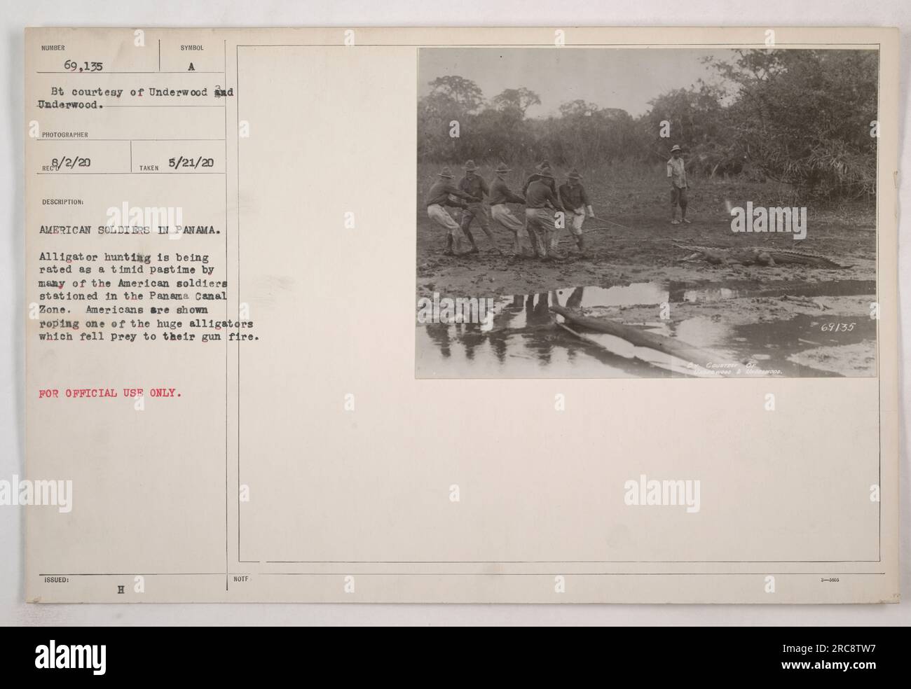 American soldiers hunting alligators hi-res stock photography and ...