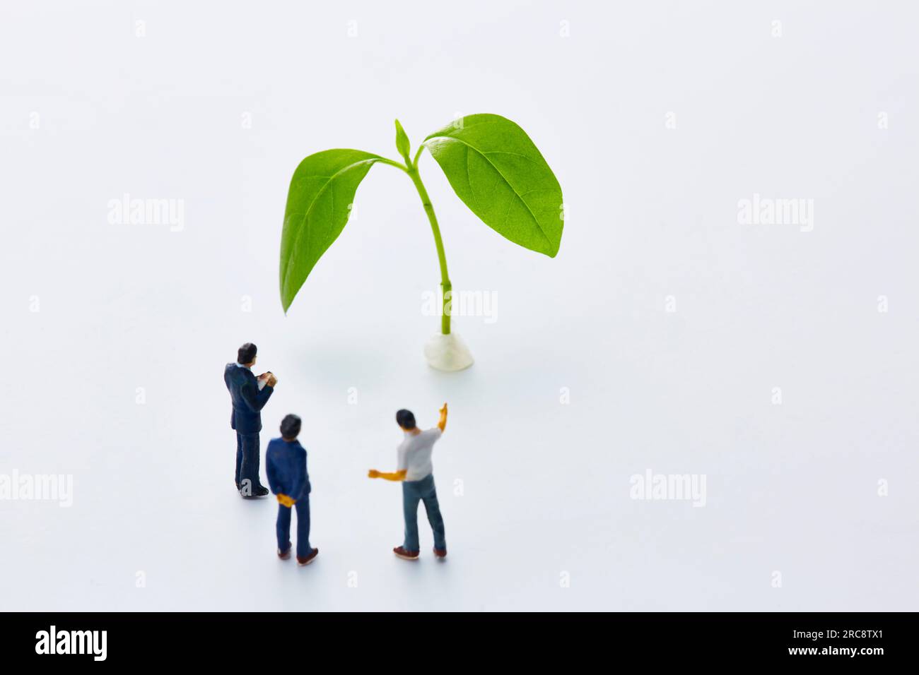 Leaves of a plant and a miniature person Stock Photo - Alamy
