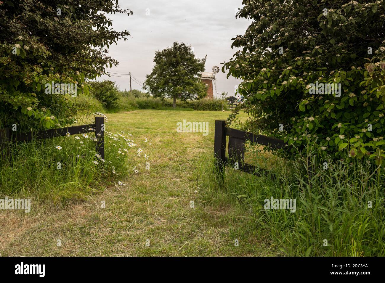 Horsey Windpump or drainage windmill on the norfolk broads Stock Photo ...