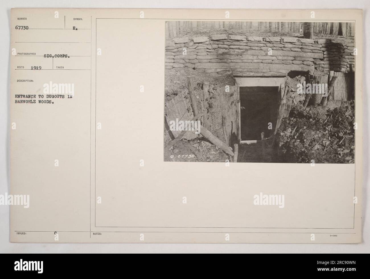 Entrance to dugouts in Bannholz Woods. Image number 67730 from the ...