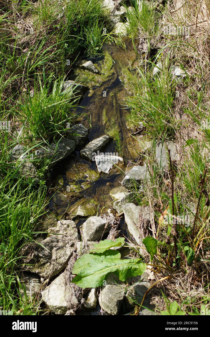 The rivulet hi-res stock photography and images - Alamy