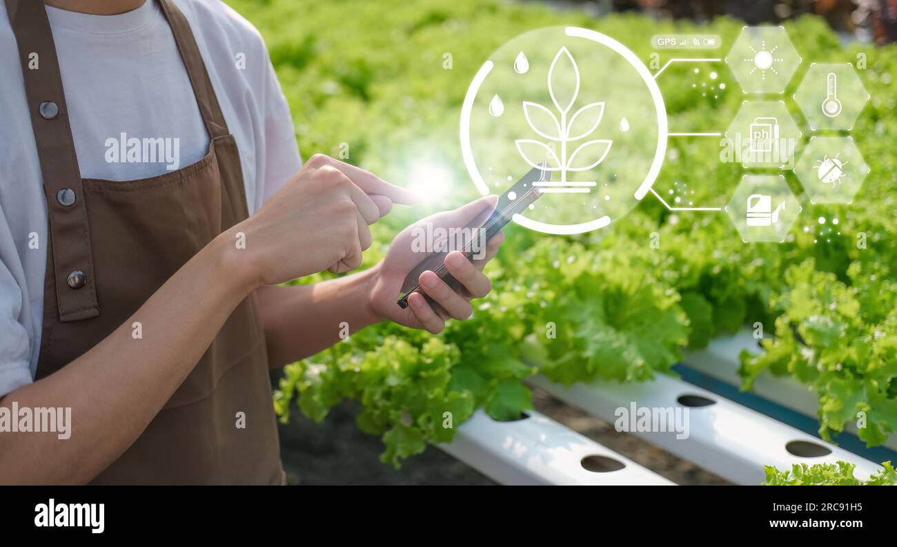 farmer holding smartphone, production vegetable control, concept ...