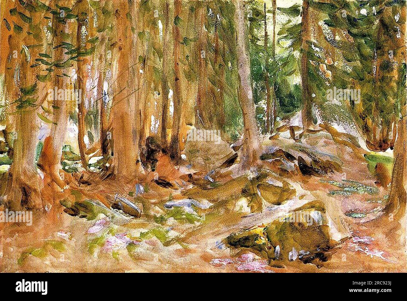 Pine Forest 1908 by John Singer Sargent Stock Photo - Alamy