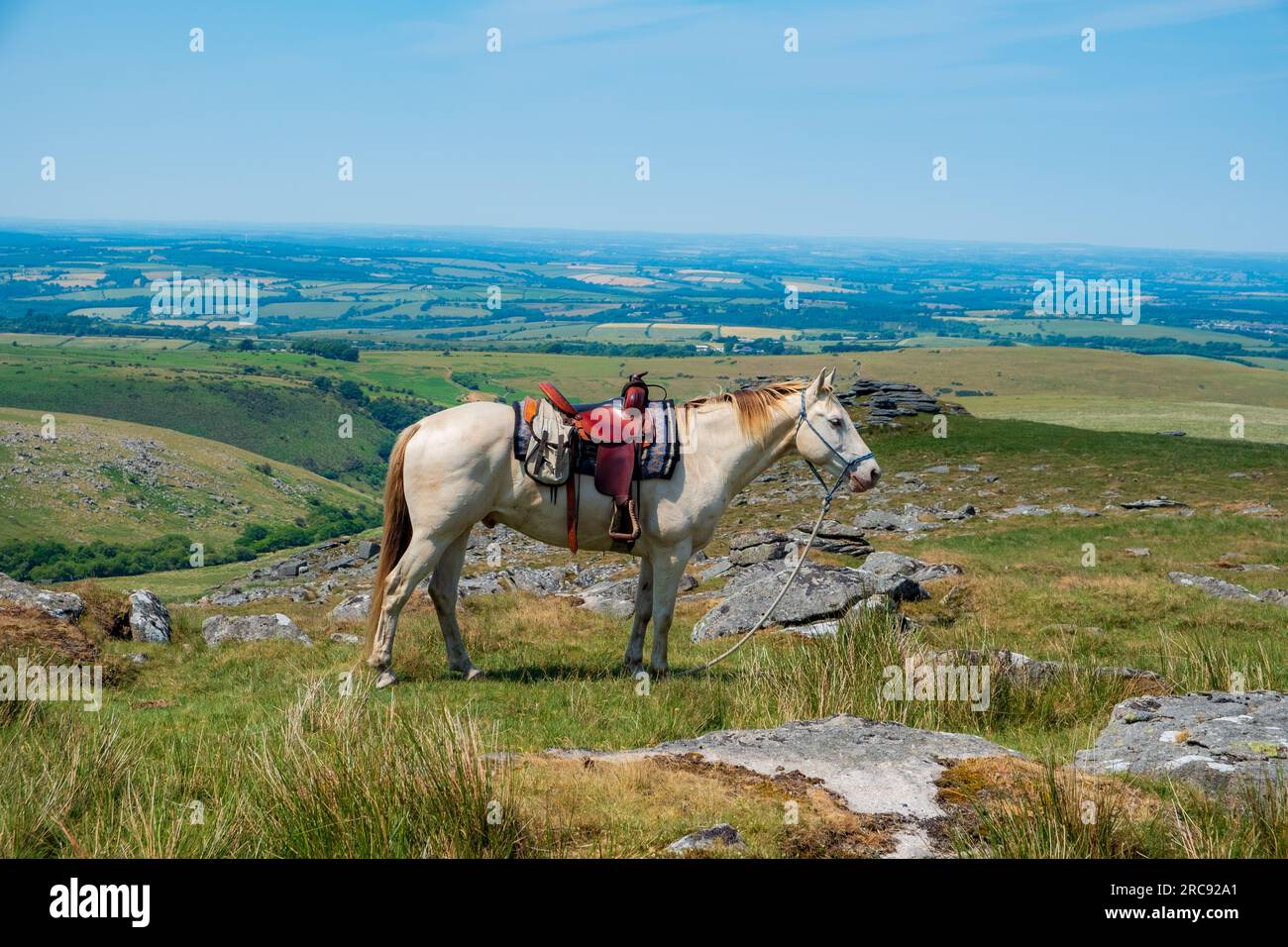 Wideness of Dartmoor national park, Devon GB. Picturesque side view of ...