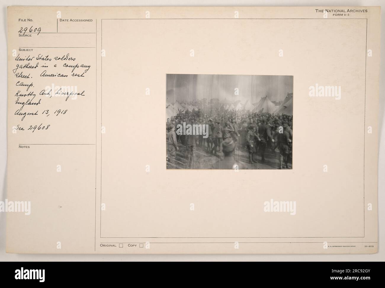 Knotty ach hi-res stock photography and images - Alamy