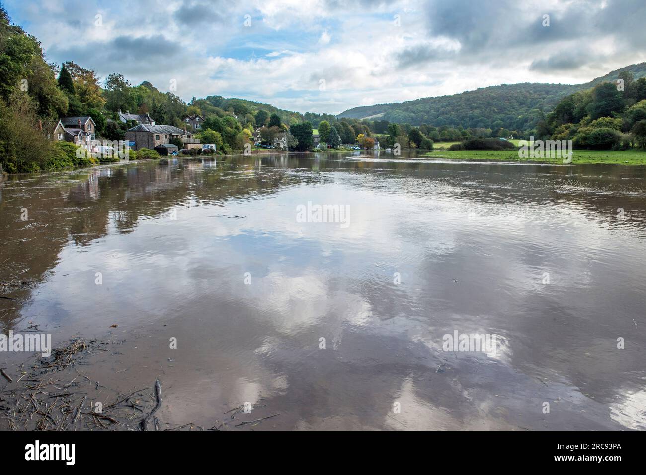 Branches and leaves floating down river hi-res stock photography and ...
