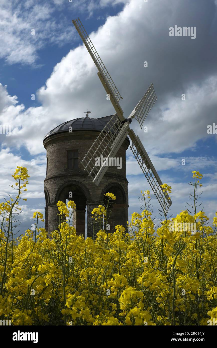 Chesterton Windmill in a field of rapeseed in Chesterton Warwickshire ...