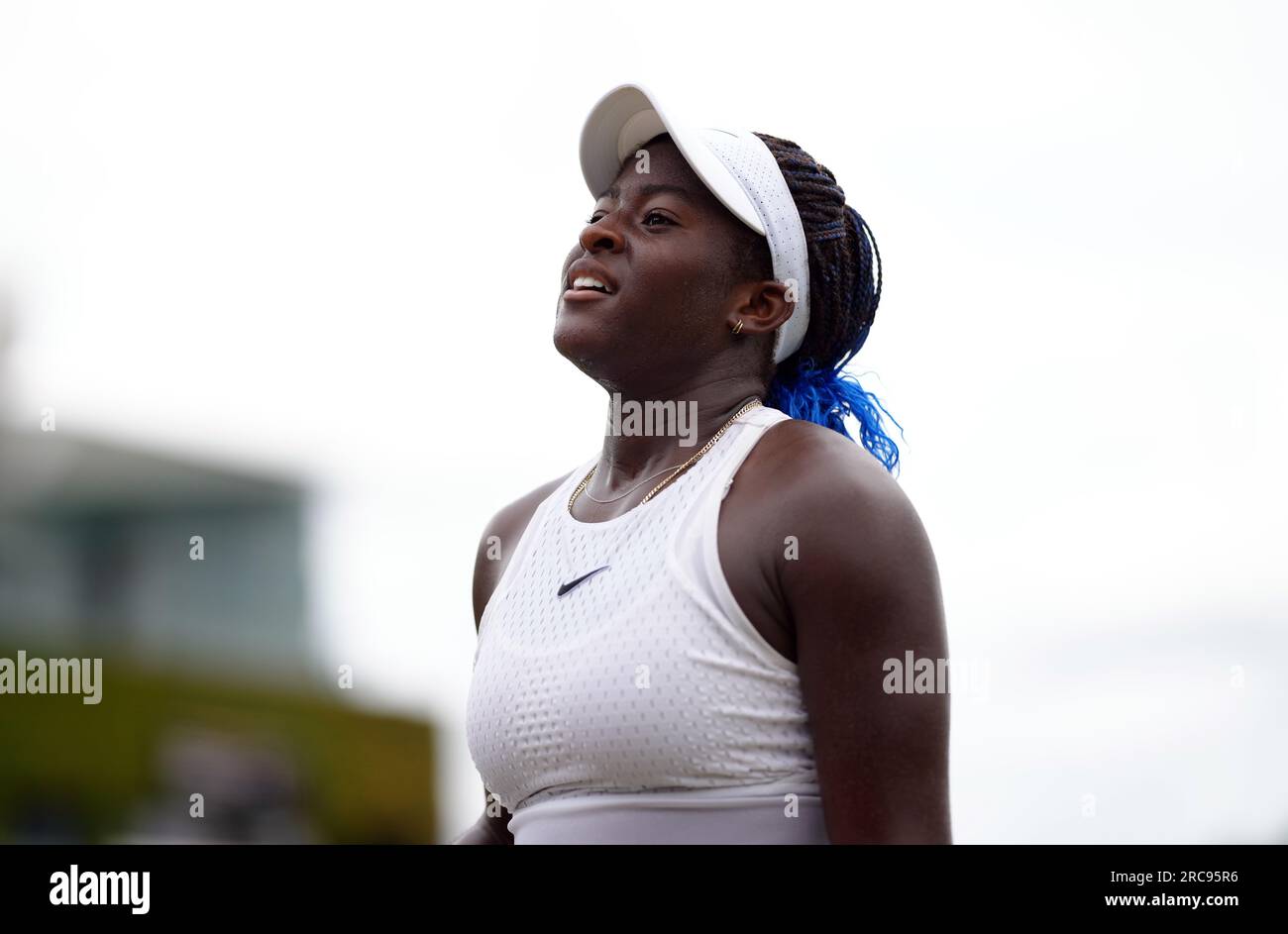 Ngounoue hi-res stock photography and images - Alamy