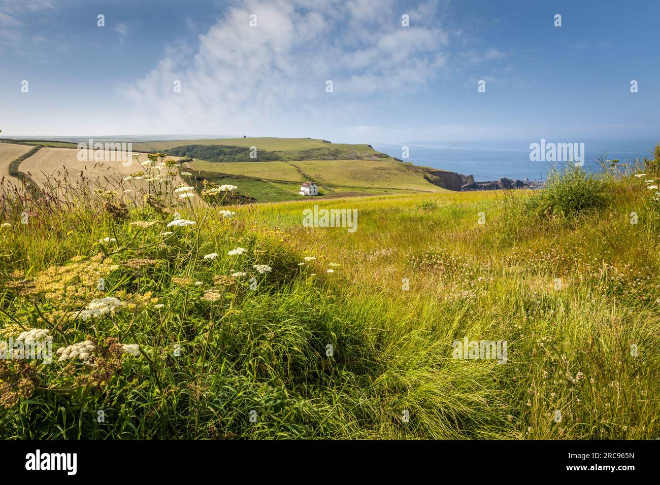 Devonian landscape landscapes hi-res stock photography and images - Alamy