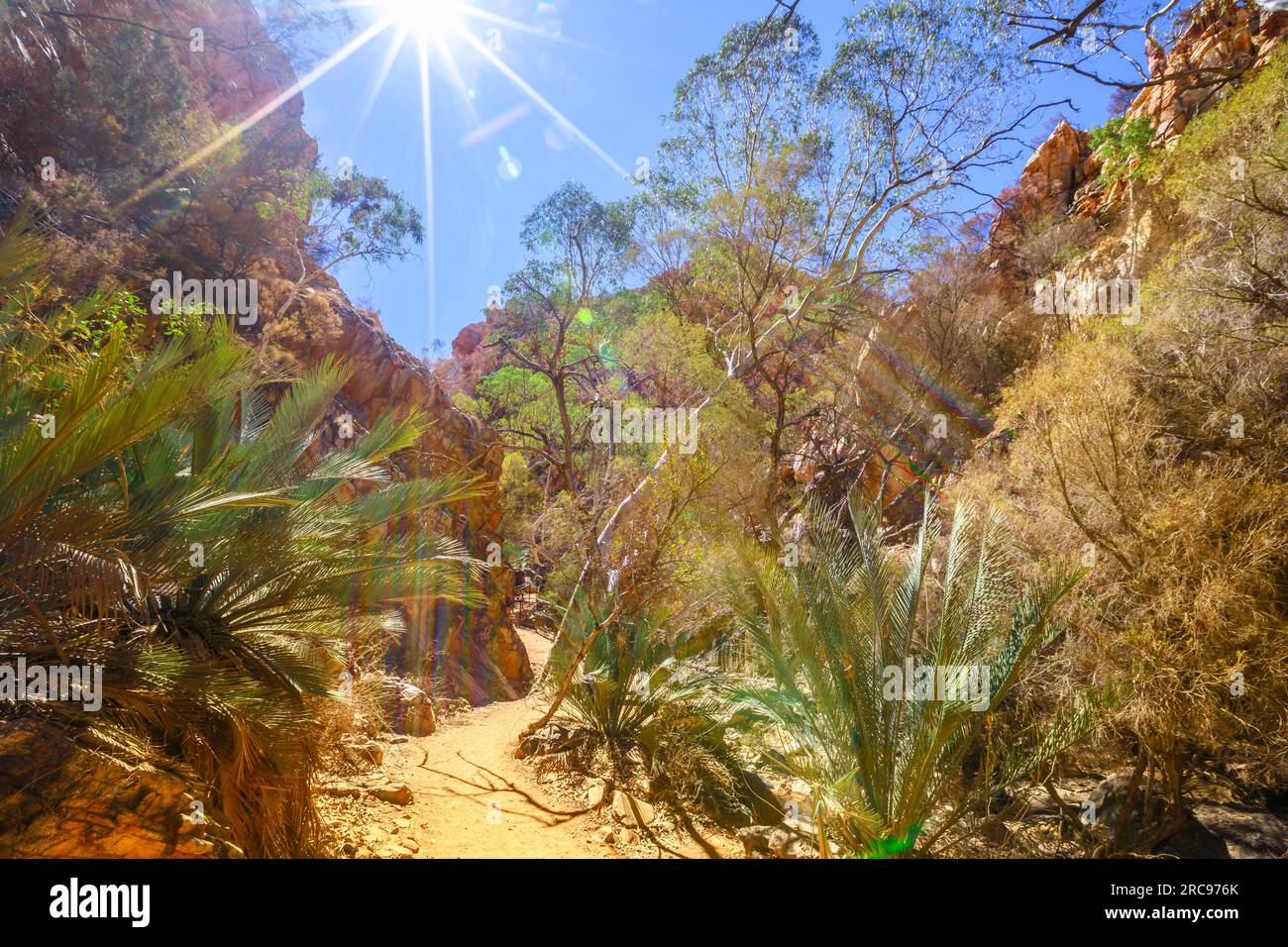 Walking to dramatic sheer rock-face of chasm along the trail following ...