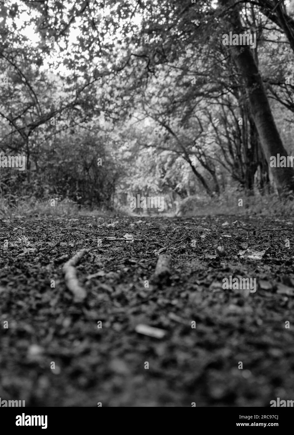 White ground technique hi-res stock photography and images - Alamy