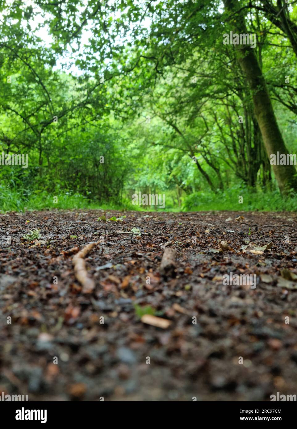 Colour photography hi-res stock photography and images - Alamy