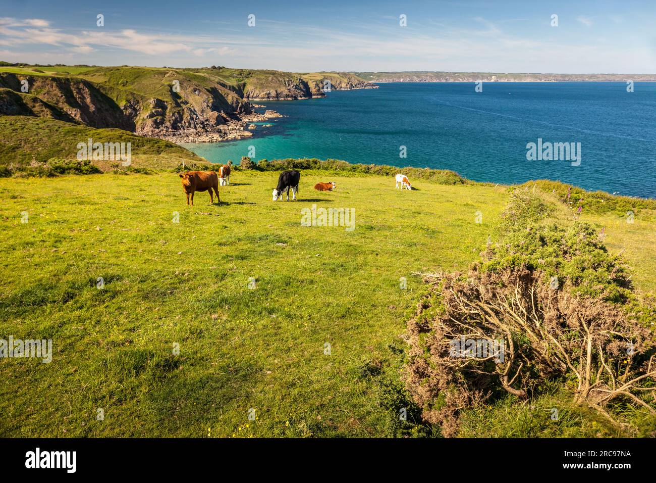 geography / travel, Great Britain, Cornwall, Helston, Housel Bay ...