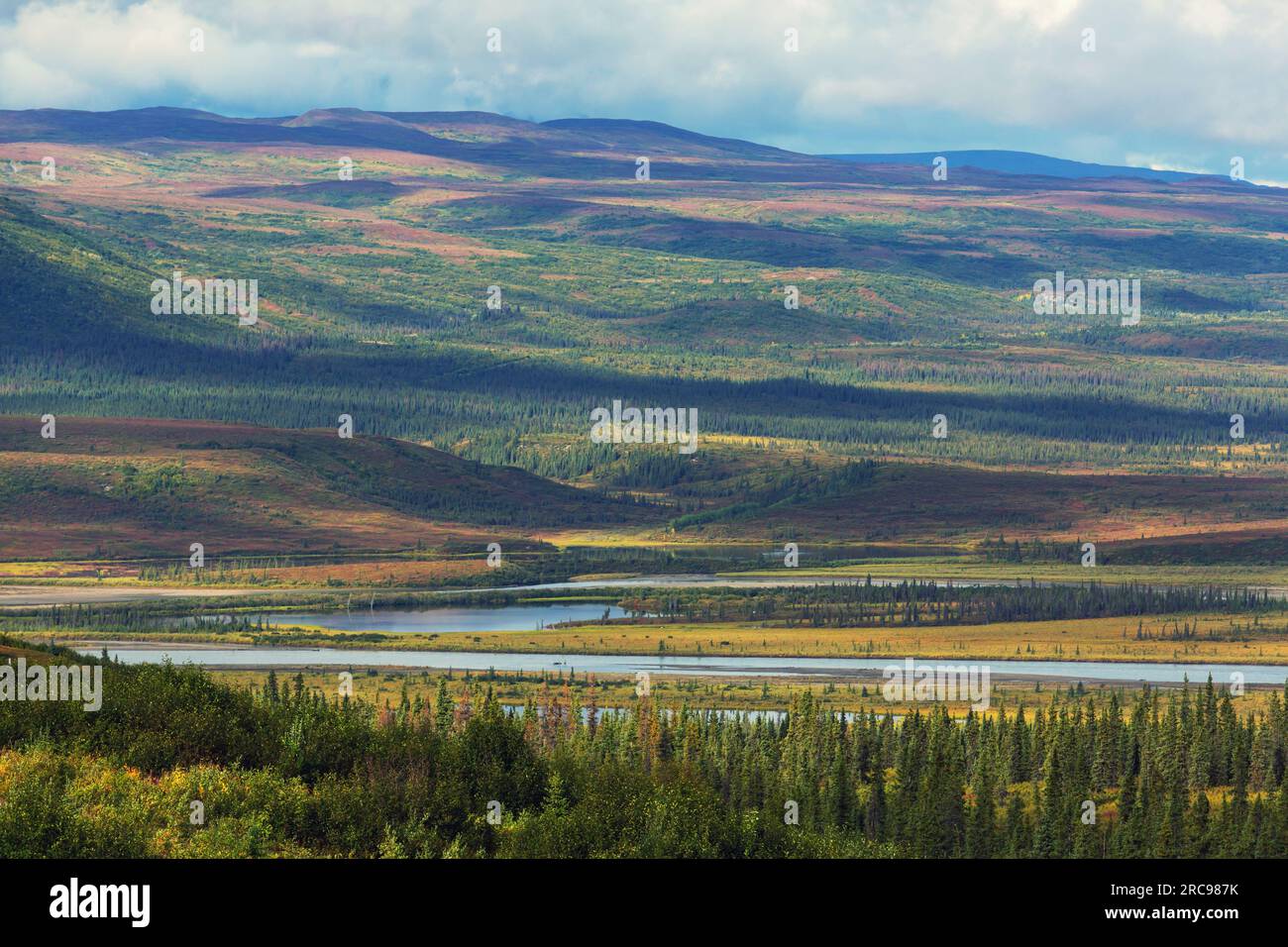 Tundra landscapes above Arctic circle Stock Photo - Alamy