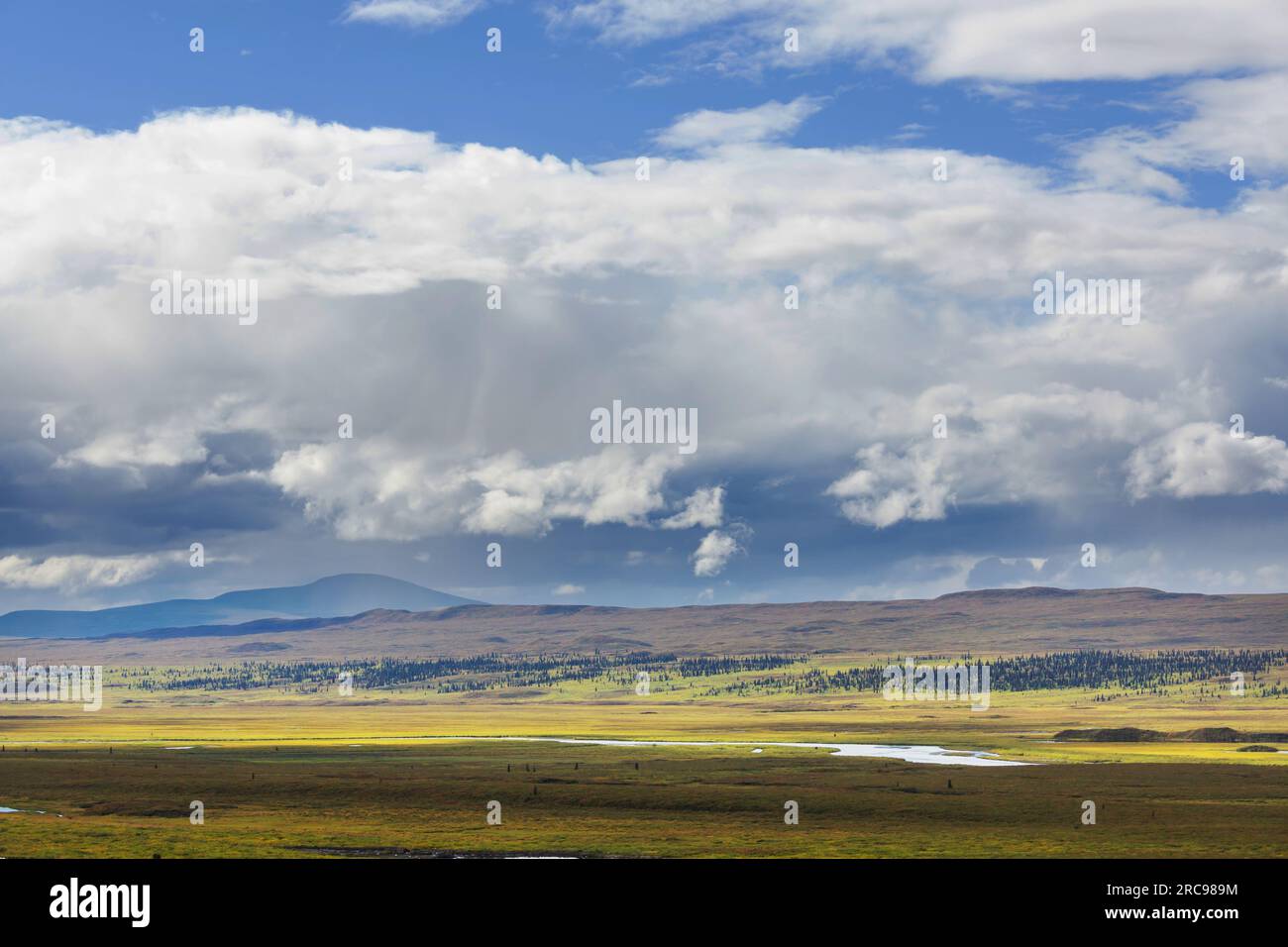 Tundra landscapes above Arctic circle Stock Photo - Alamy