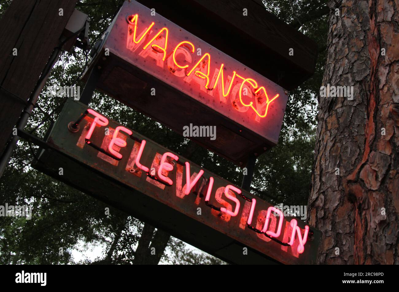 Vintage Neon Signs Near Motel and Cabins in Rural East Tx Stock Photo ...