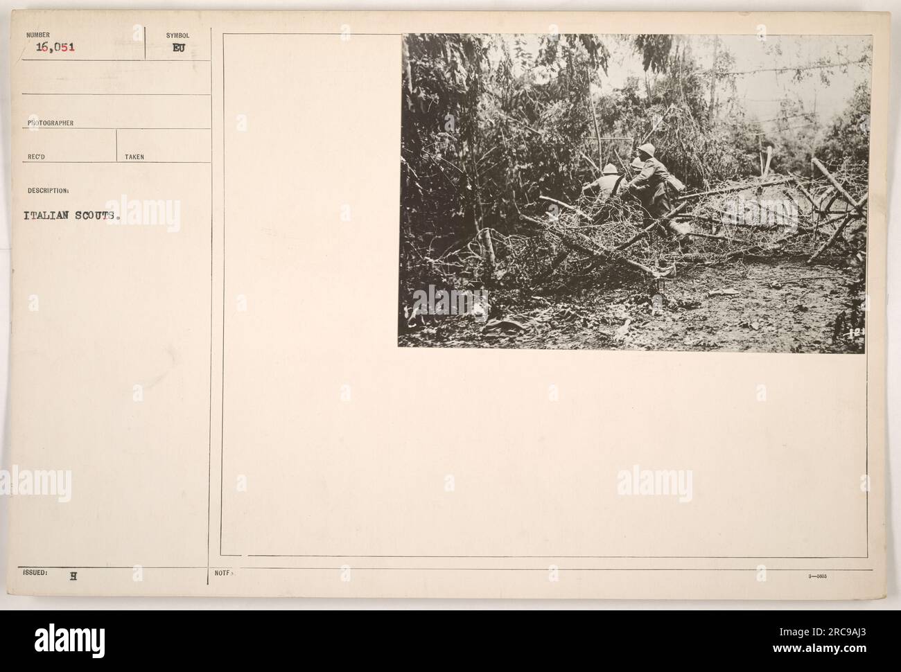 Italian scouts in action during World War One. This photograph ...