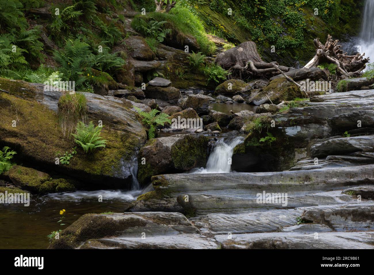 Pistyll Rhaeadr waterfall in Powys Wales Stock Photo - Alamy