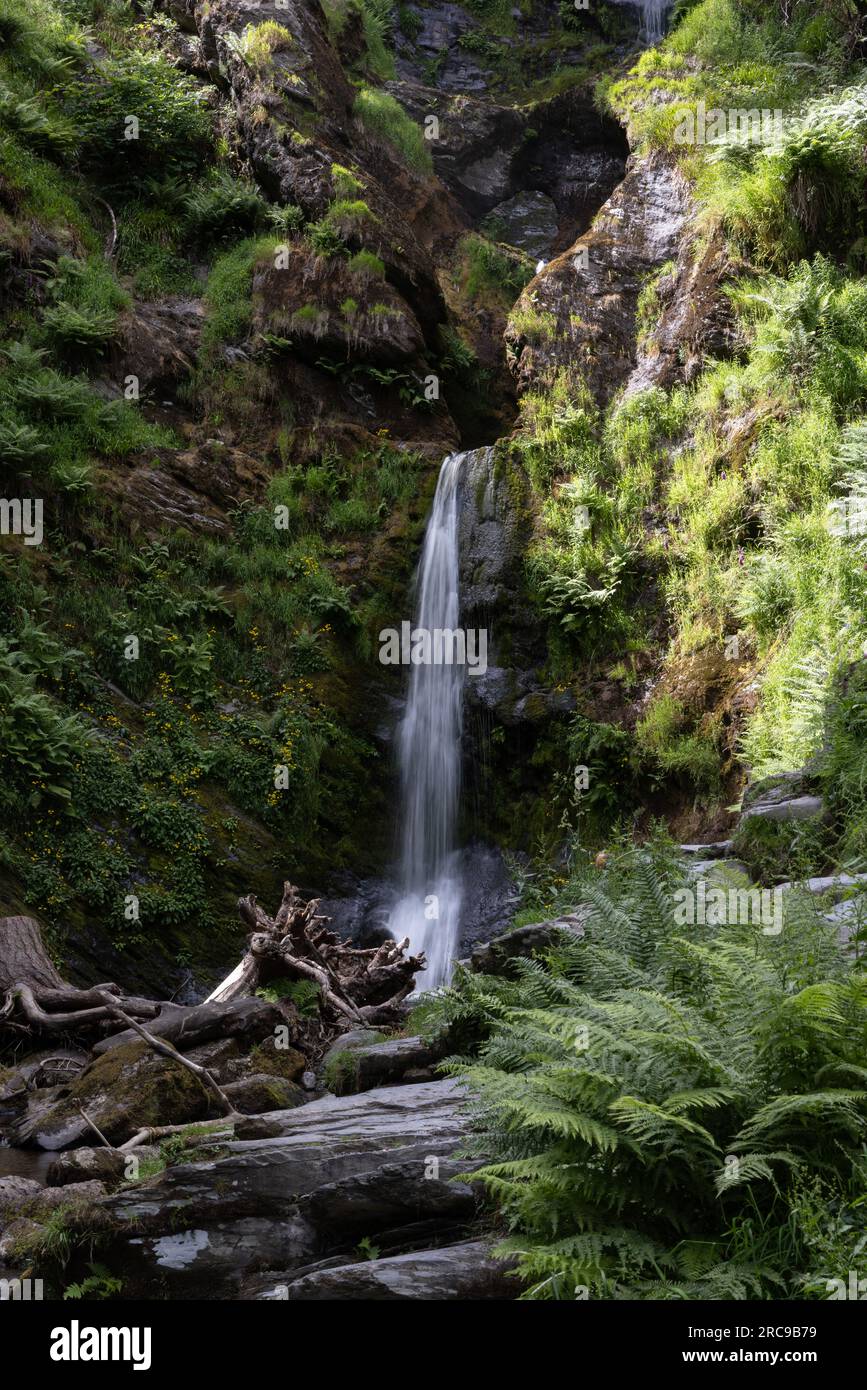 Pistyll Rhaeadr waterfall in Powys Wales Stock Photo - Alamy