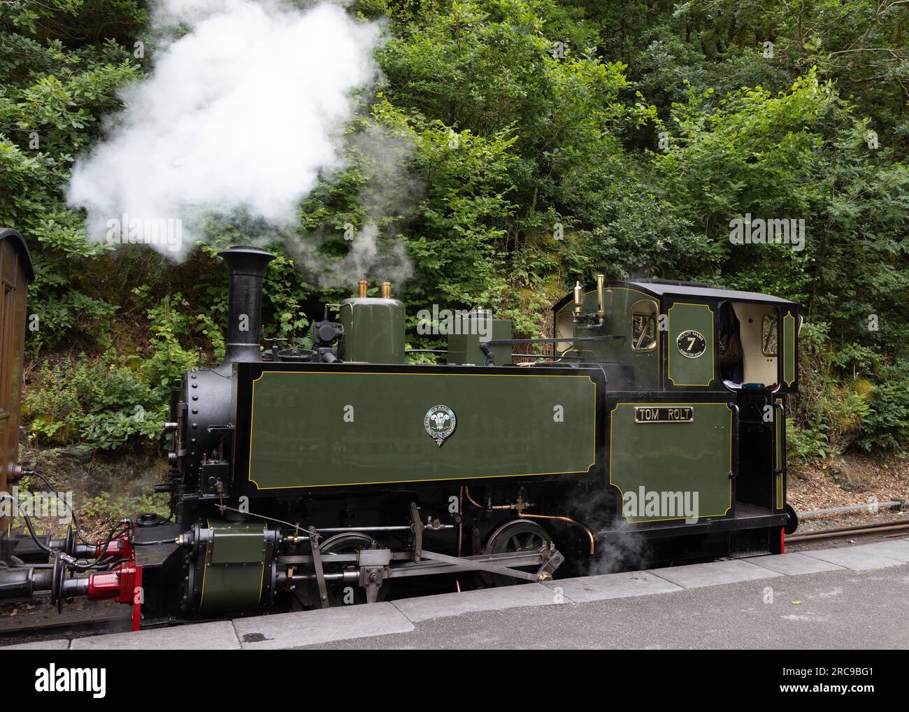 Tallyllyn railway hi-res stock photography and images - Alamy