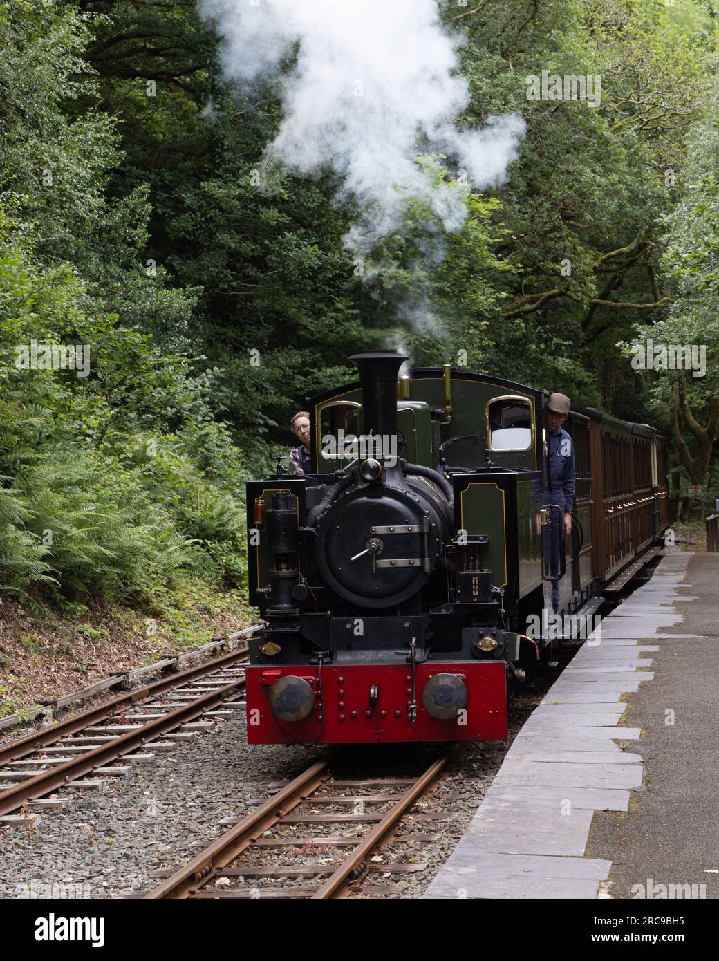 Tallyllyn Railway narrow gauge steam locomotive Tom Rolt heads a train ...