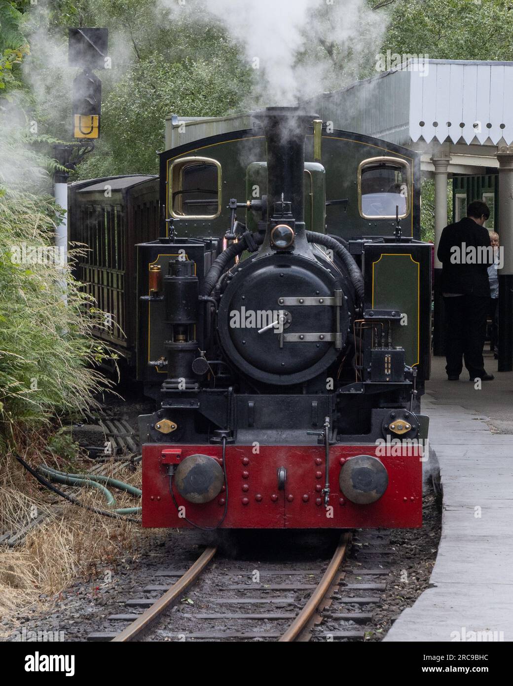 Tallyllyn Railway narrow gauge steam locomotive Tom Rolt heads a train ...