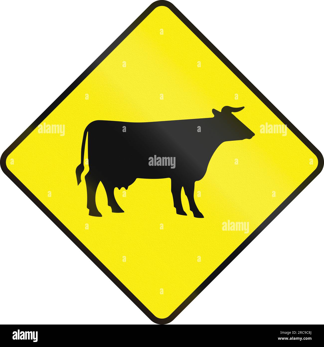 Irish road warning sign - Cattle crossing Stock Photo - Alamy