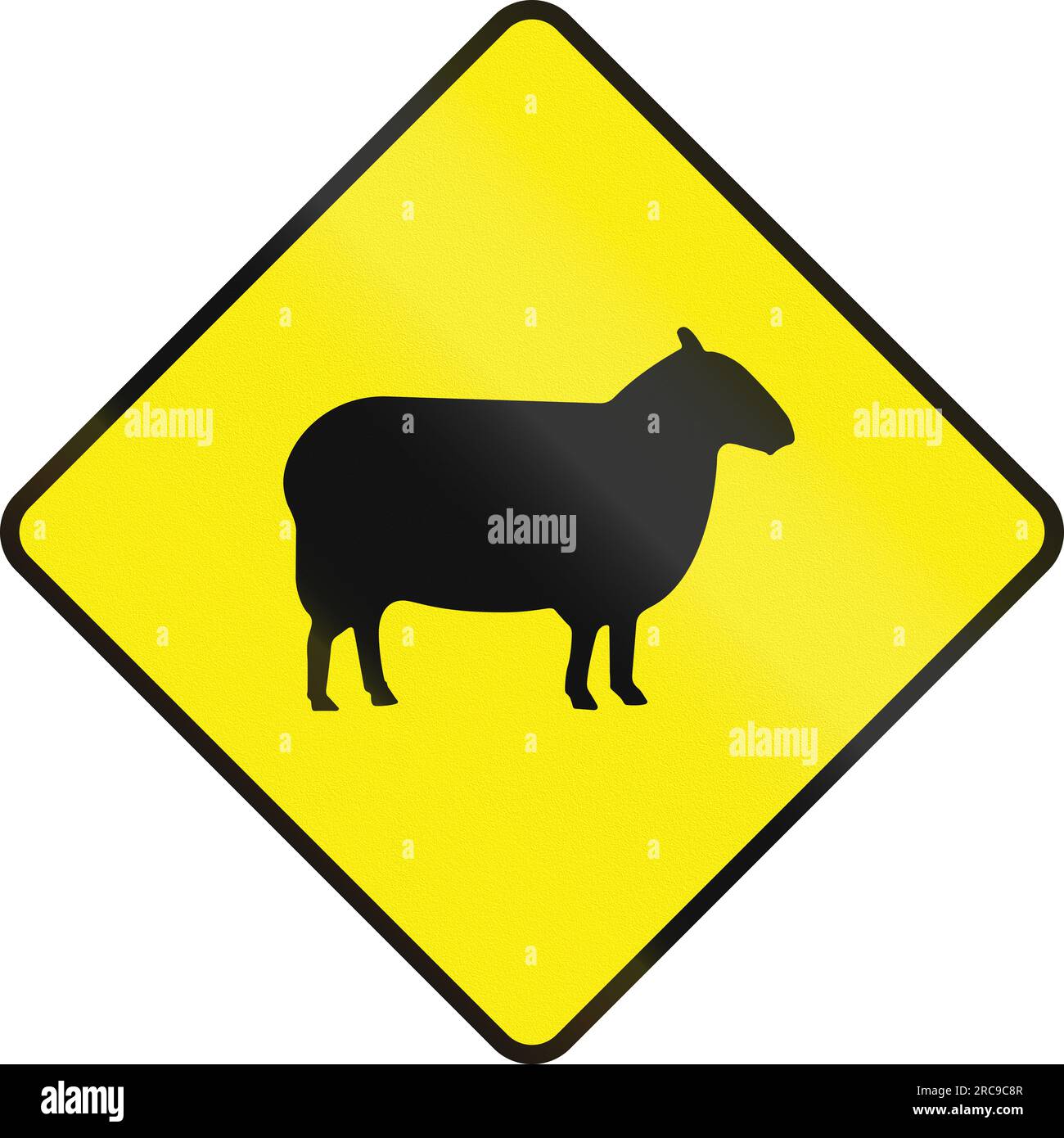 Irish road warning sign - Sheep crossing Stock Photo - Alamy