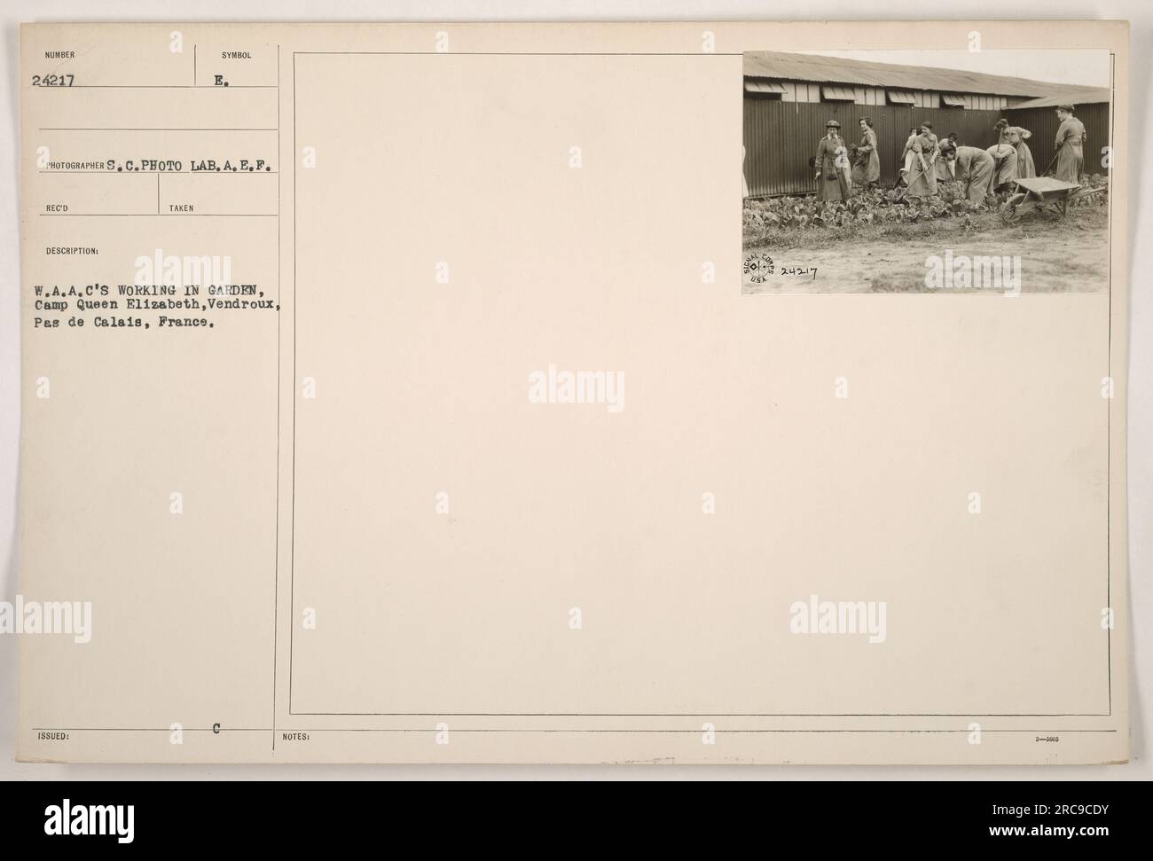 Camp queen elizabeth activities hi-res stock photography and images - Alamy