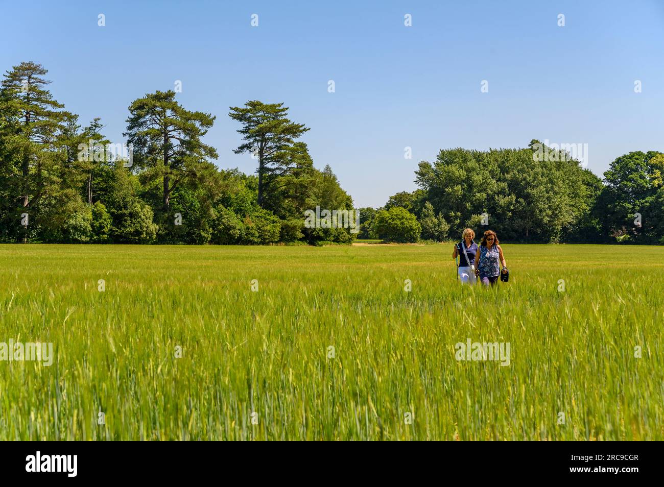 Walk in he field hi-res stock photography and images - Alamy