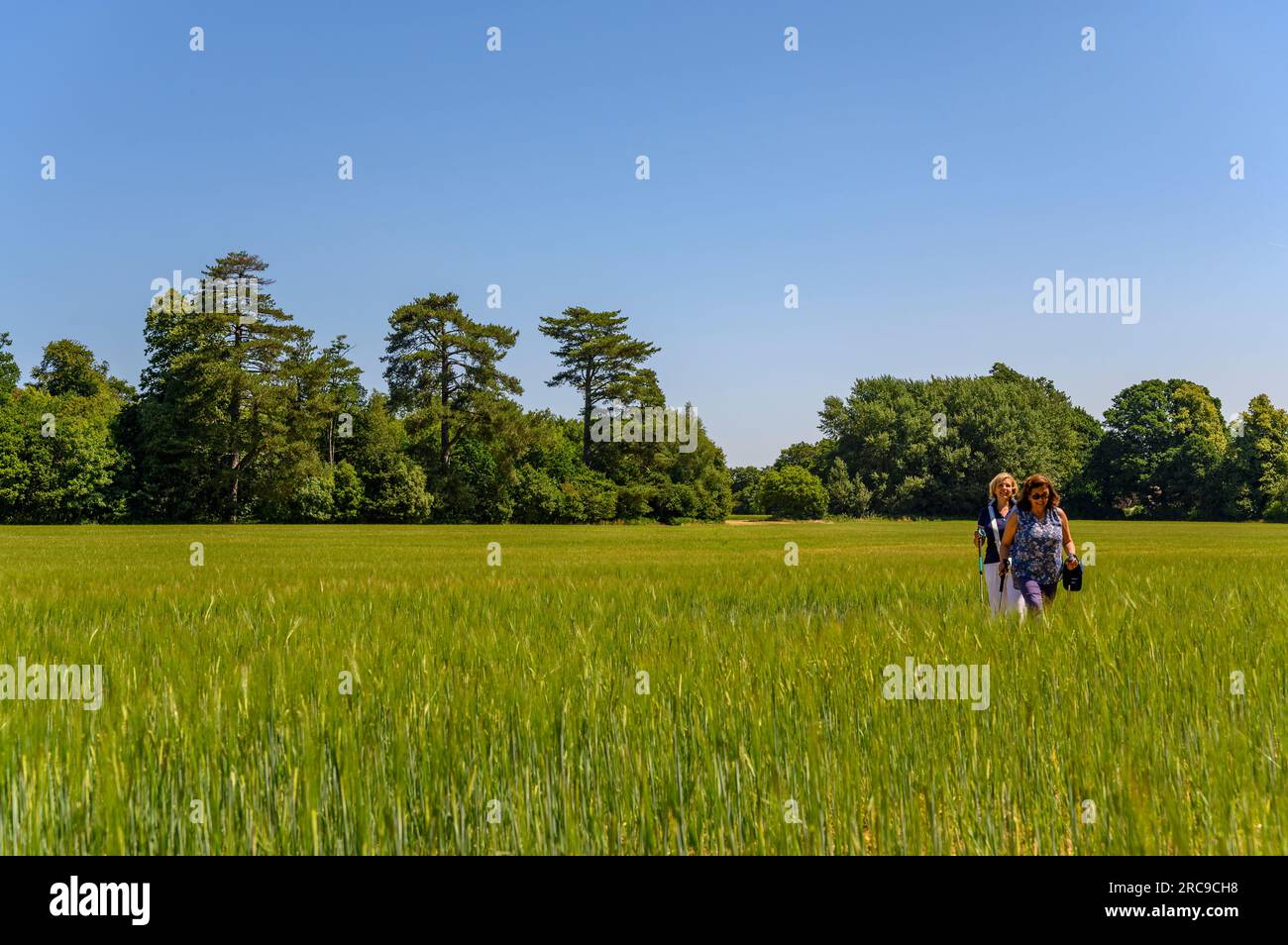 Walk in he field hi-res stock photography and images - Alamy