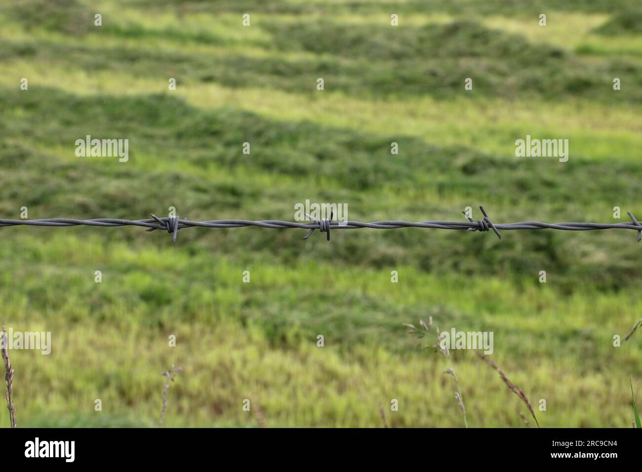 Closeup of single strand of barbed wire in a farmland location fence ...