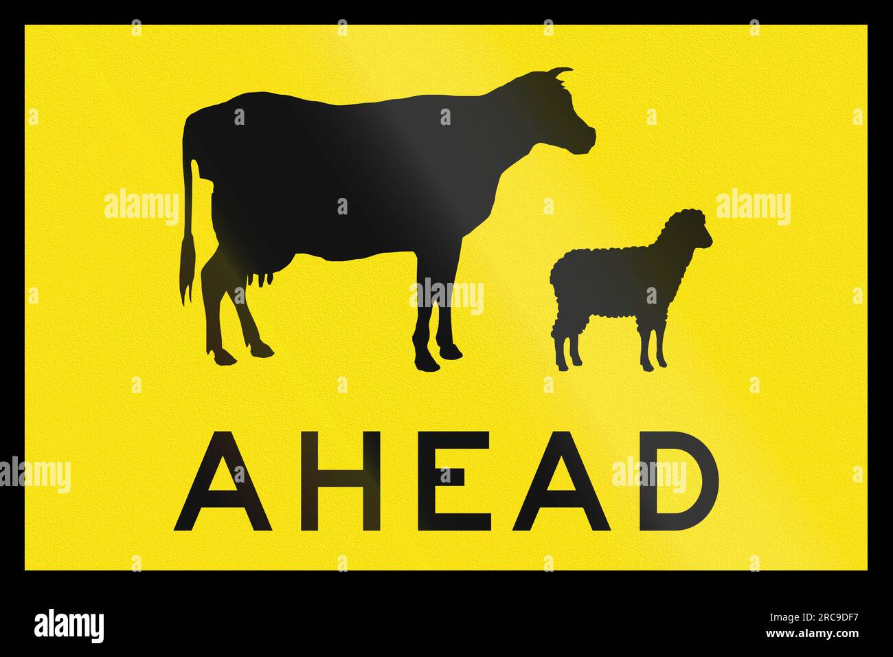 Cattle crossing ahead hi-res stock photography and images - Alamy