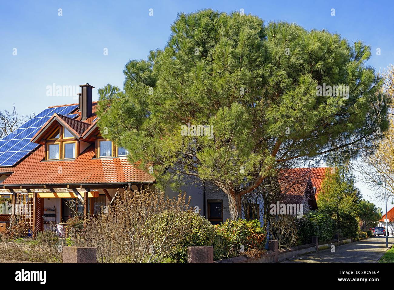 Baum de hi-res stock photography and images - Alamy