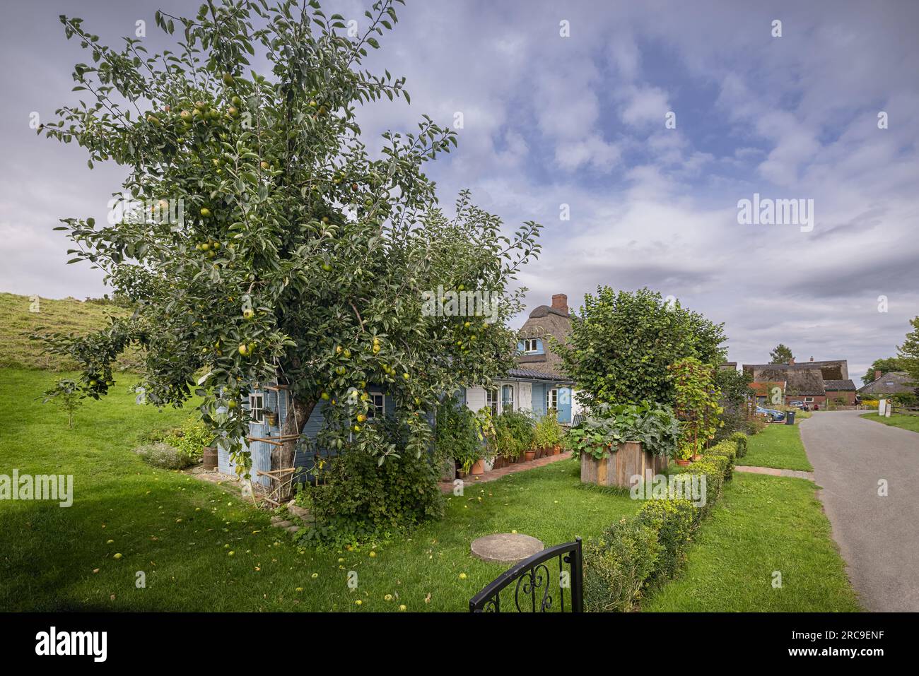 Apfelbaum haus hi-res stock photography and images - Alamy