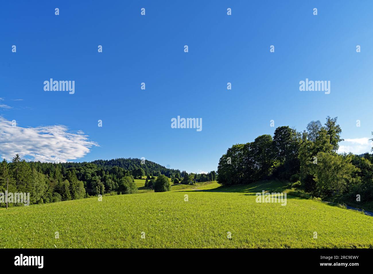Oberzartener weg hi-res stock photography and images - Alamy