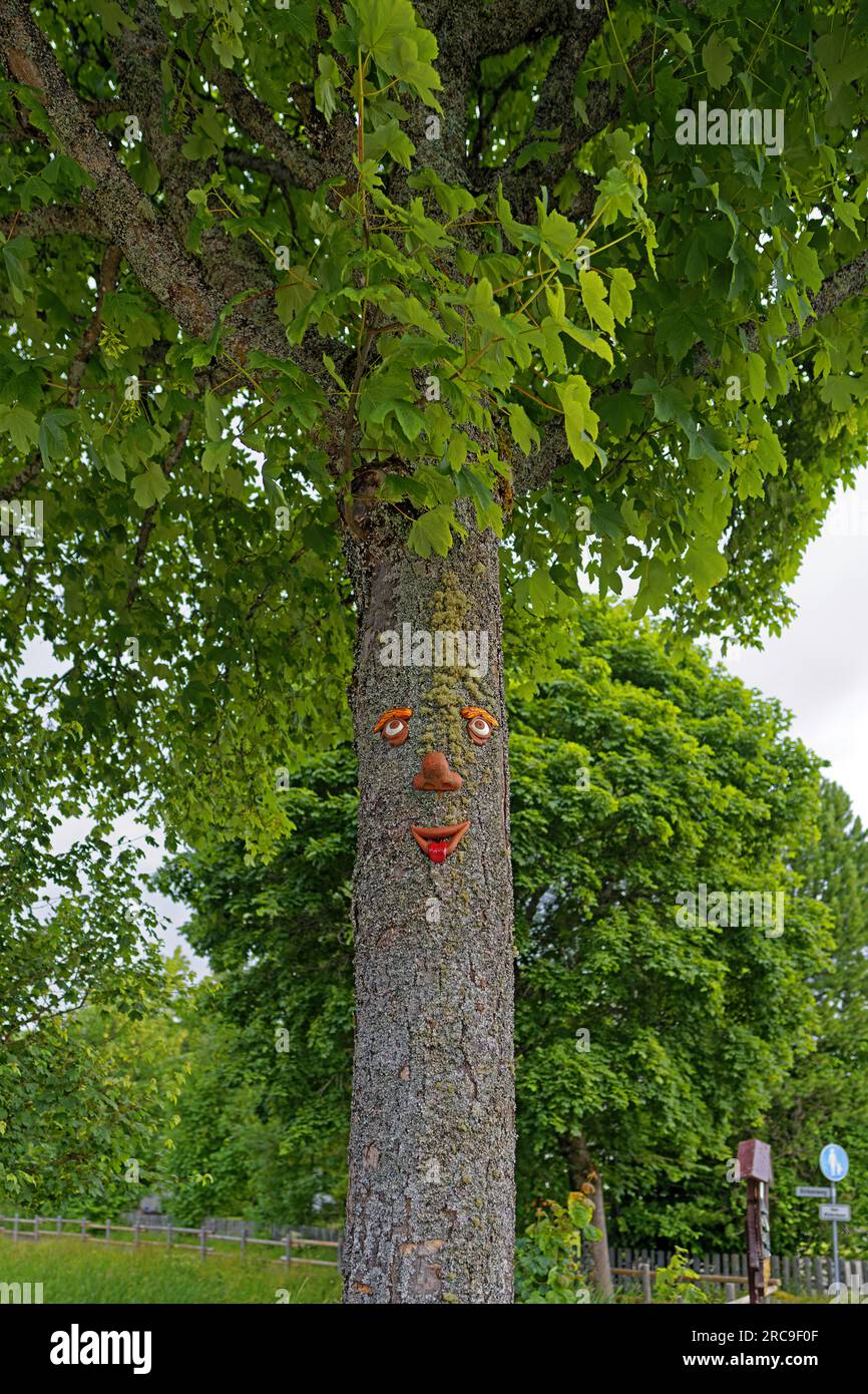 Gesicht im baum hi-res stock photography and images - Alamy