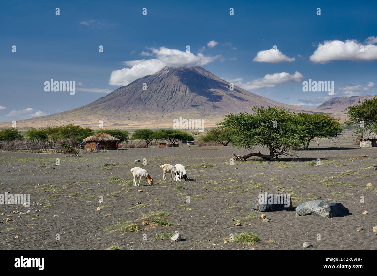 Vulkan Ol Doinyo Lengai, Lake Natron, Ngorongoro Conservation Area ...