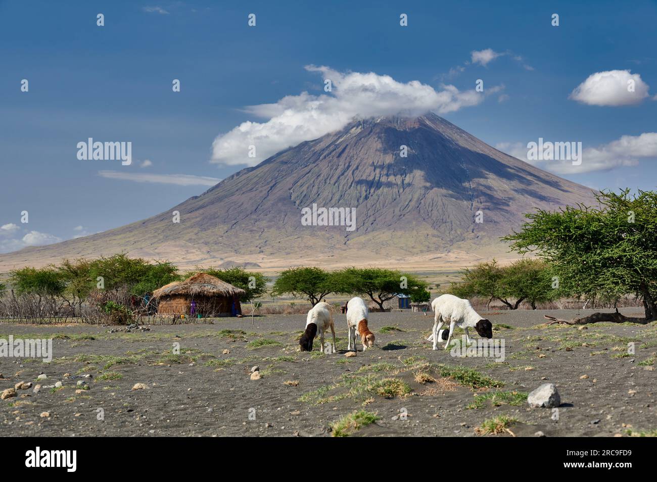 Vulkan Ol Doinyo Lengai, Lake Natron, Ngorongoro Conservation Area ...