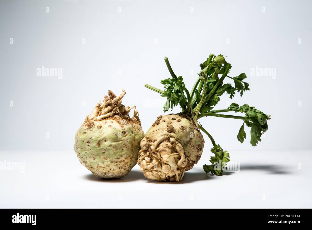 Zwei Knollensellerie im Ganzen, einer mit Gruen auf weissem Untergrund ...