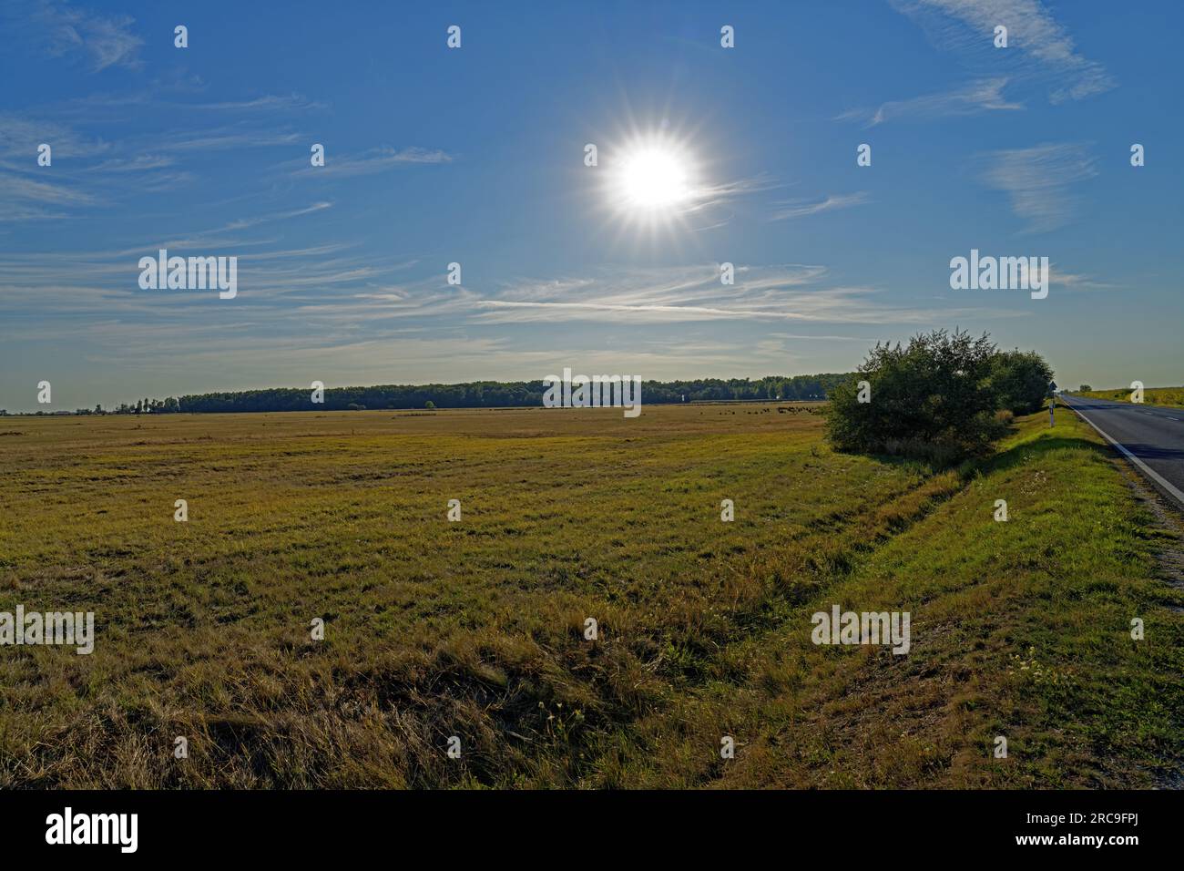 Ungarn hortobagy hi-res stock photography and images - Alamy