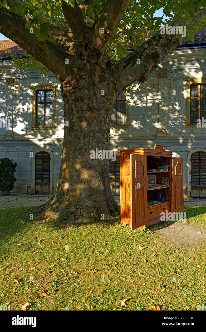 Barock Schloss Gödöllő, Gödöllői Királyi Kastély, Bücherschrank ...