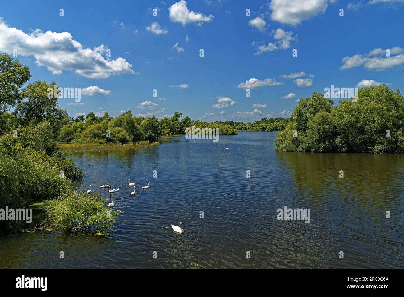 Fluss sauer hi-res stock photography and images - Alamy