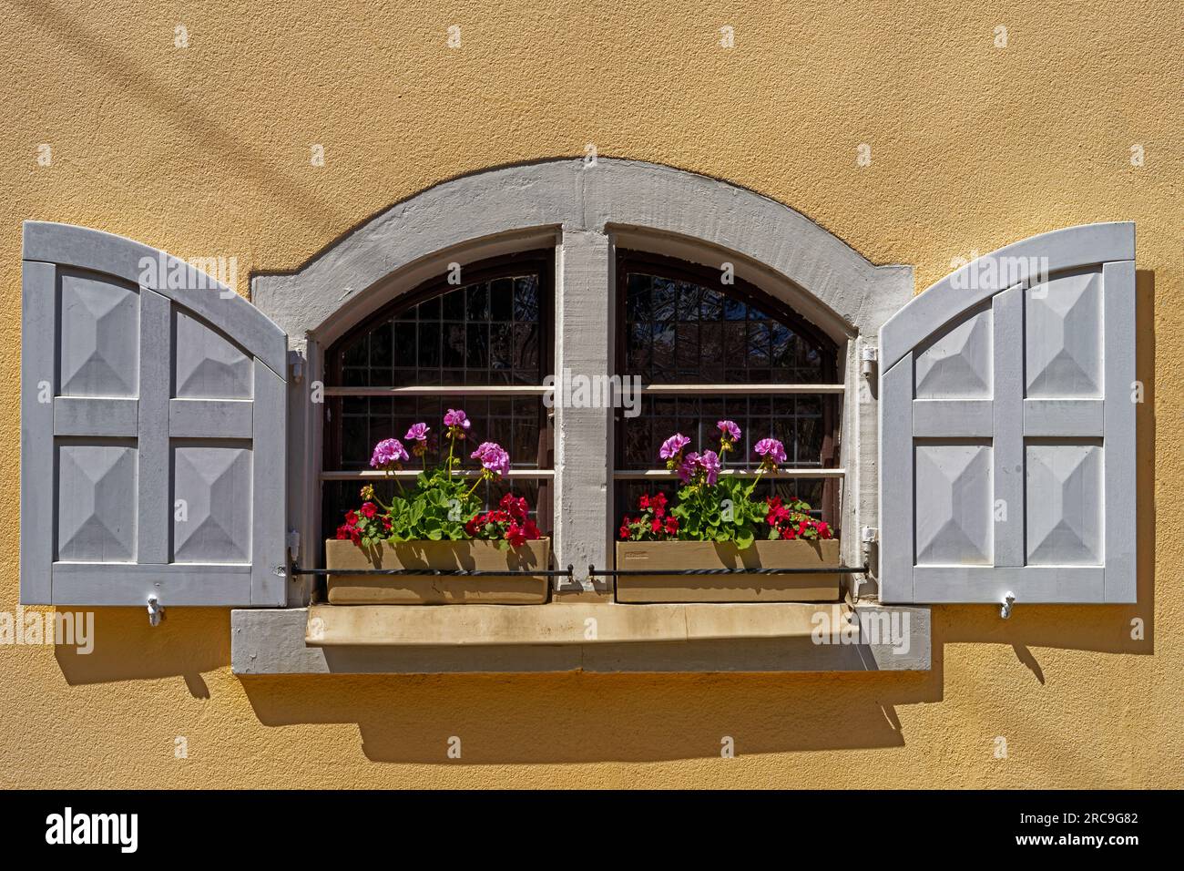 Fenster pflanzen hi-res stock photography and images - Alamy