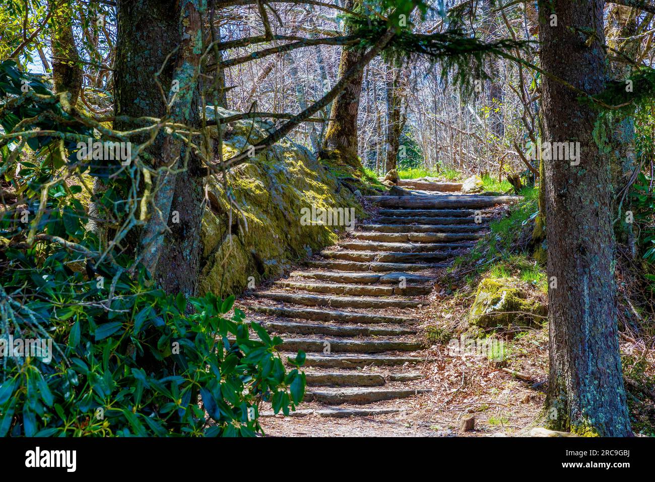 Steps leading up to another lookout along the Blue Ridge Parkway in ...